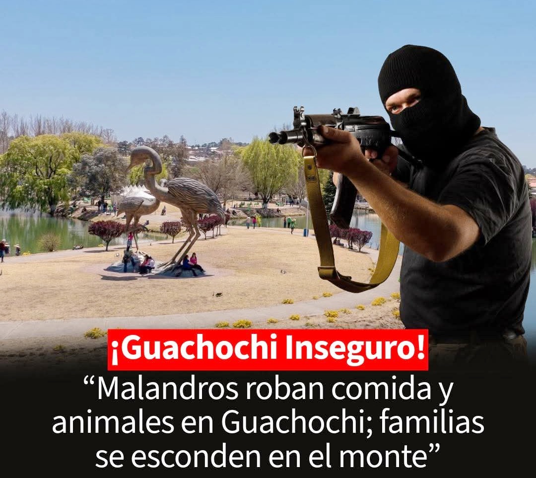 “Malandros roban comida y animales en Guachochi; familias se esconden ...